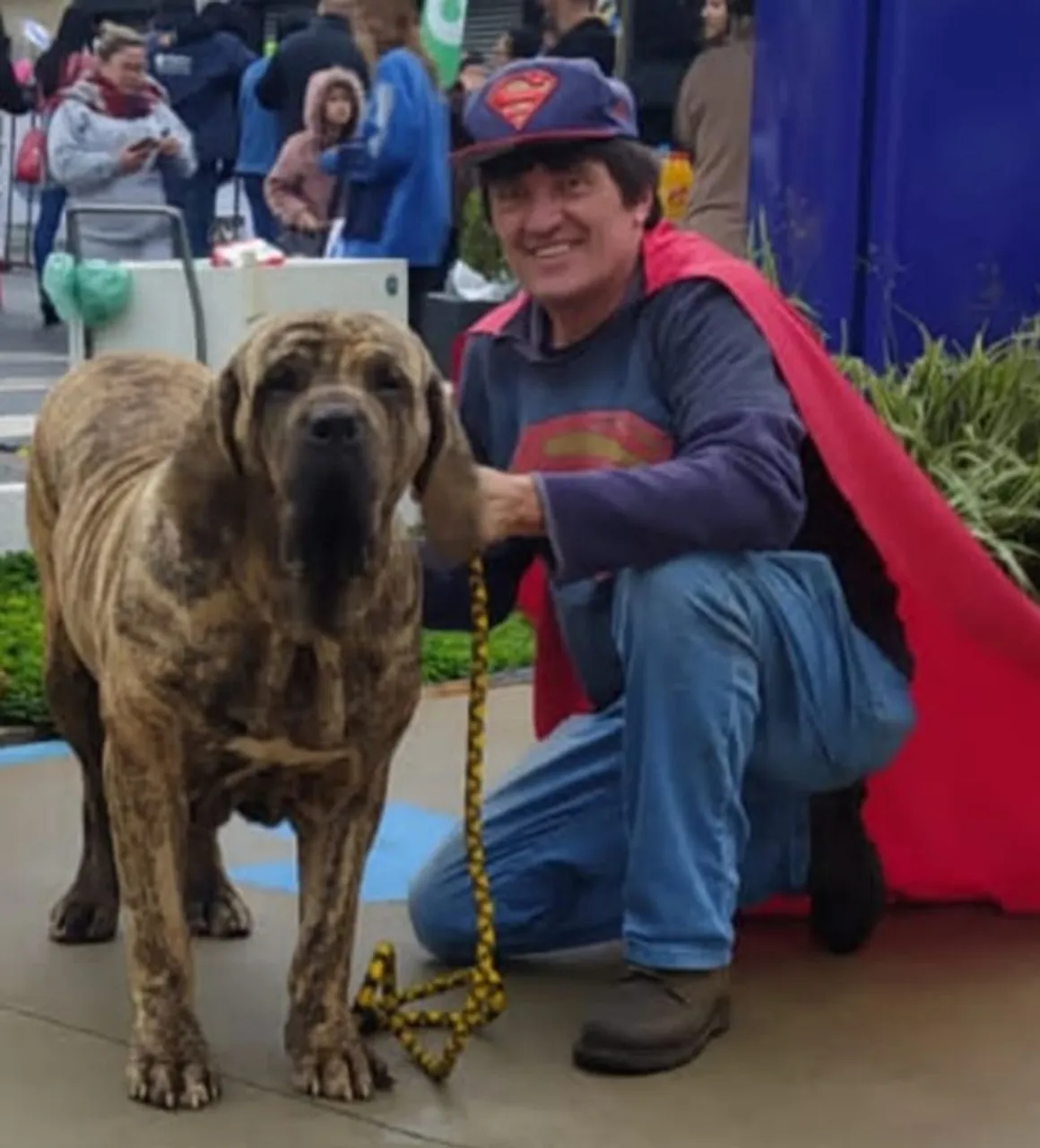 "fila brasileiros" no Brasil
