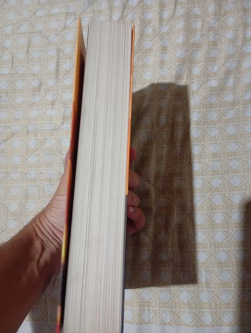 Fogo e sangue de George R R Martin - Livros e revistas - Luzardo Viana ...