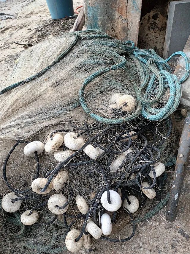 "rede malha 5" no Brasil