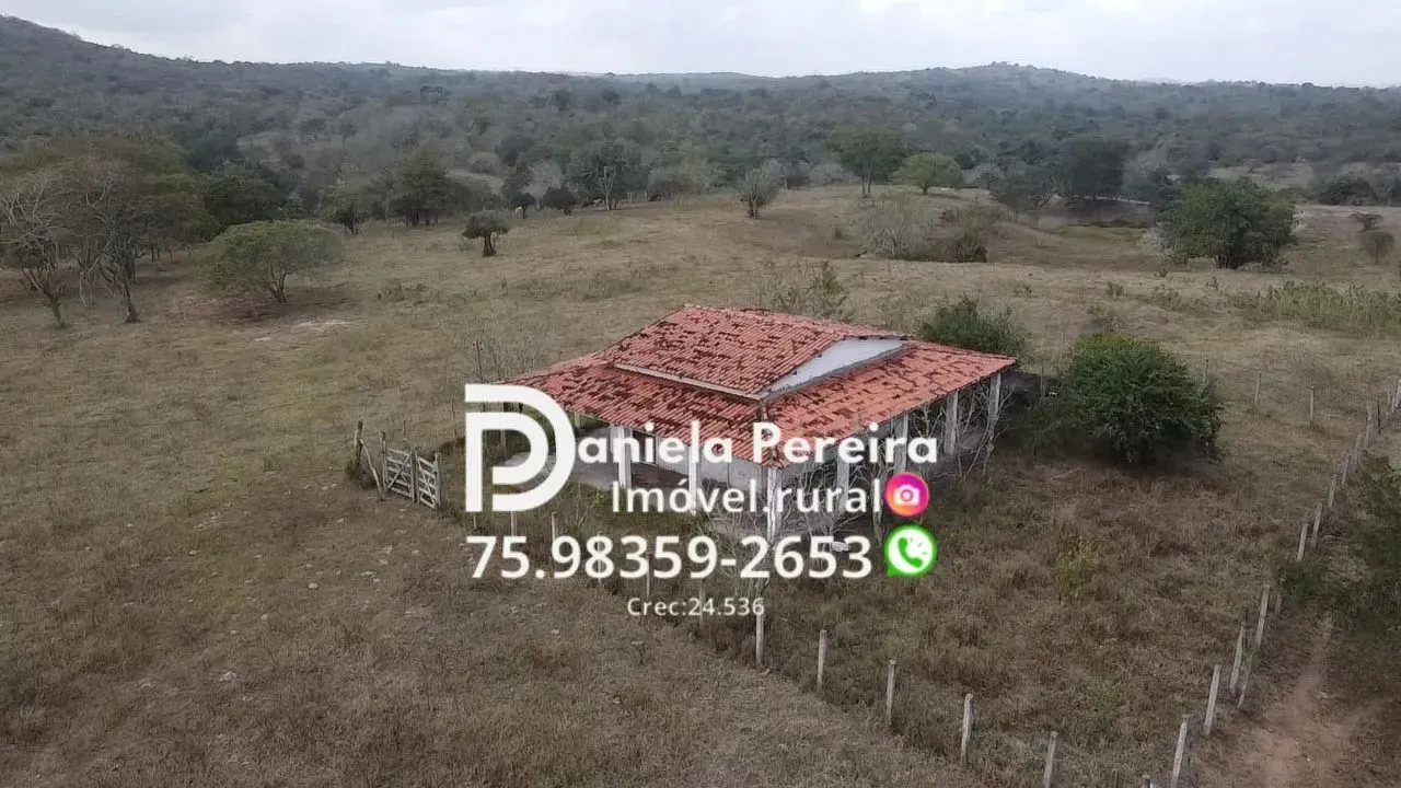 Terrenos, sítios e fazendas - Feira De Santana, BA | OLX