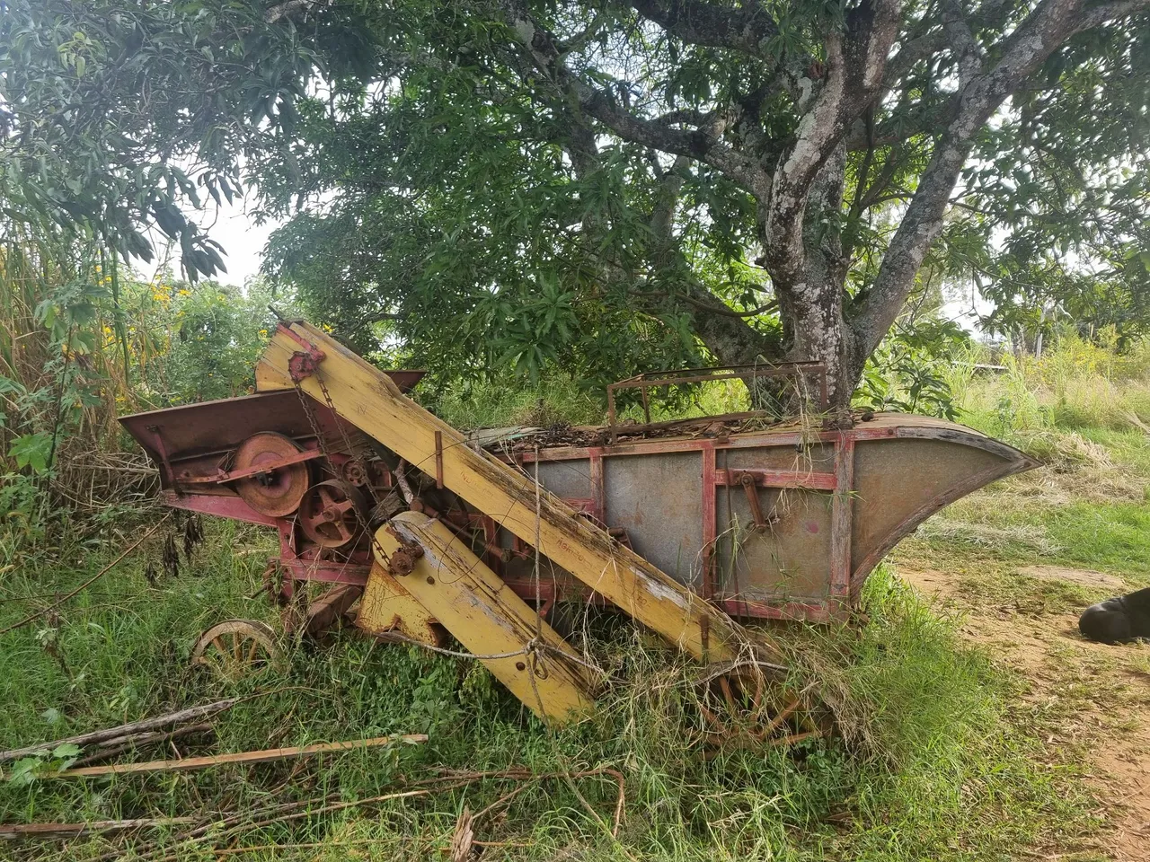 "trilhadeira" no Brasil