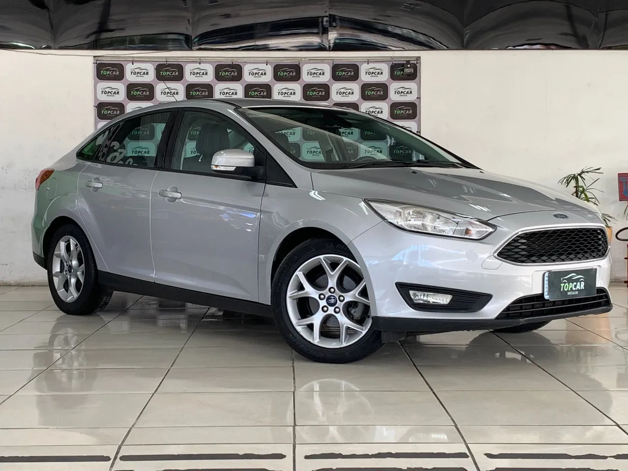 Ford Focus 2019 Usados e Novos