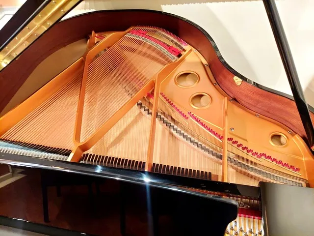 "pianos de cauda" - Instrumentos musicais no Brasil