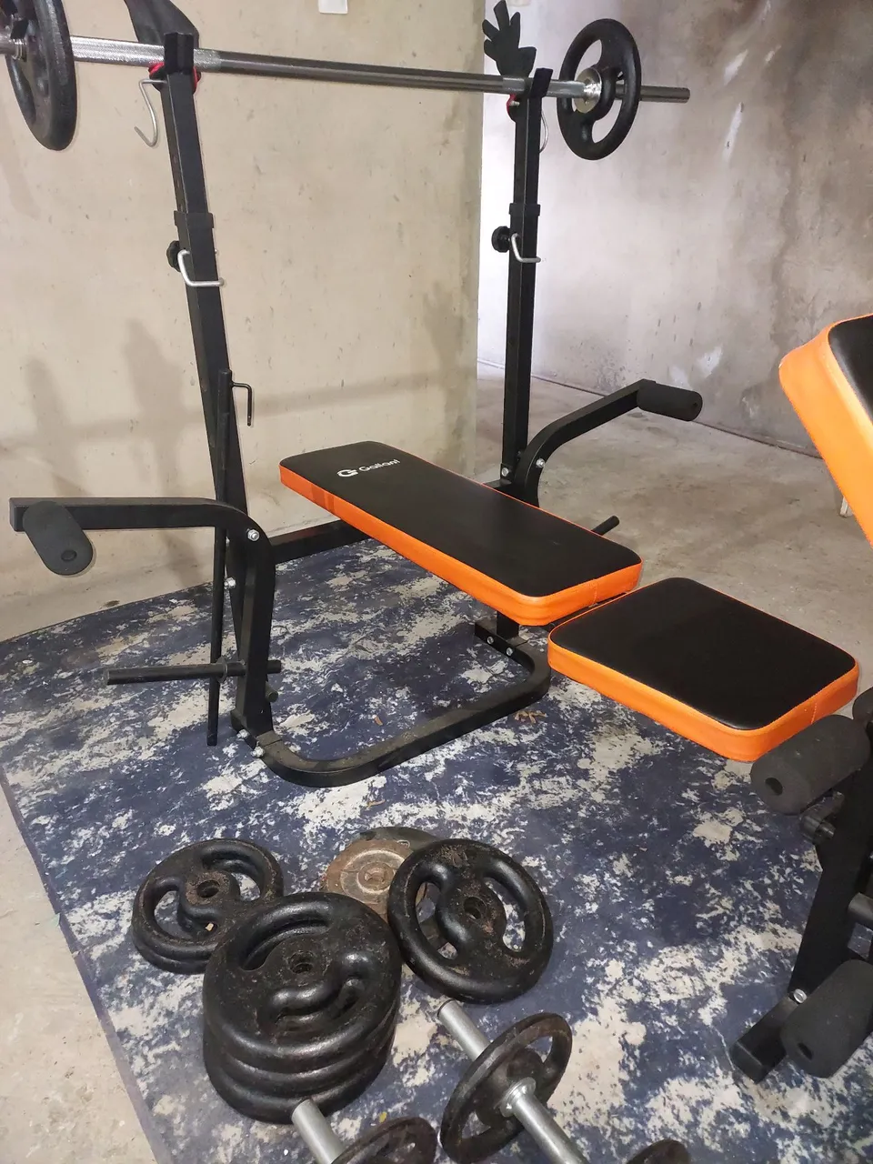 "alteres musculacao" - Academia e Exercícios no Brasil