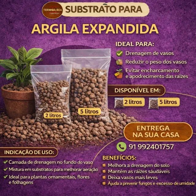 Argila expandida - Jardinagem e Plantas - Coqueiro, Belém 1469625875 | OLX