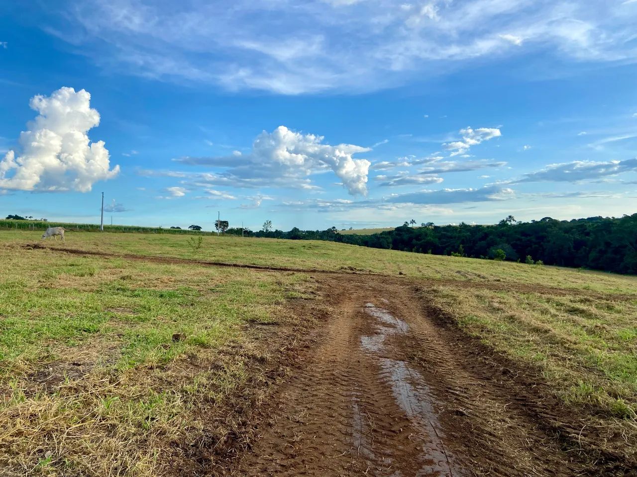 Chácara parcelada no RIO URU - 20.000 m2 - Terrenos, sítios e fazendas ...