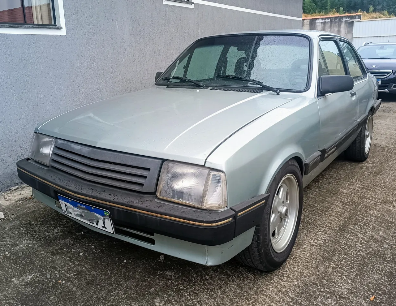 CHEVROLET CHEVETTE 1989 Usados e Novos