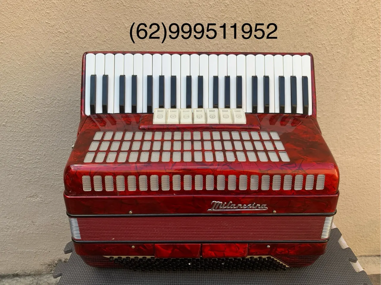 "sanfona ou acordeon" - Instrumentos musicais no Brasil