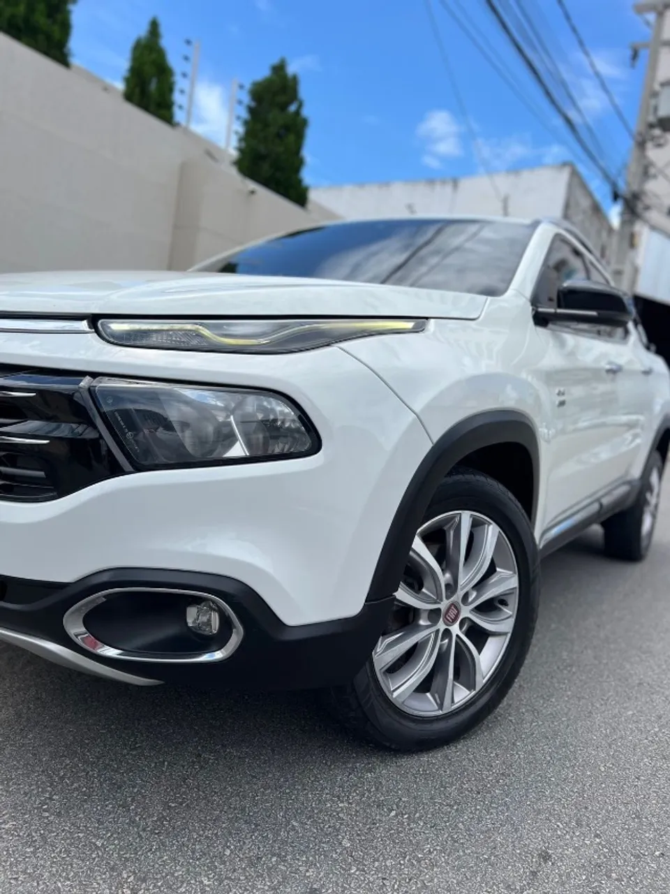 "touro sindi" no Brasil