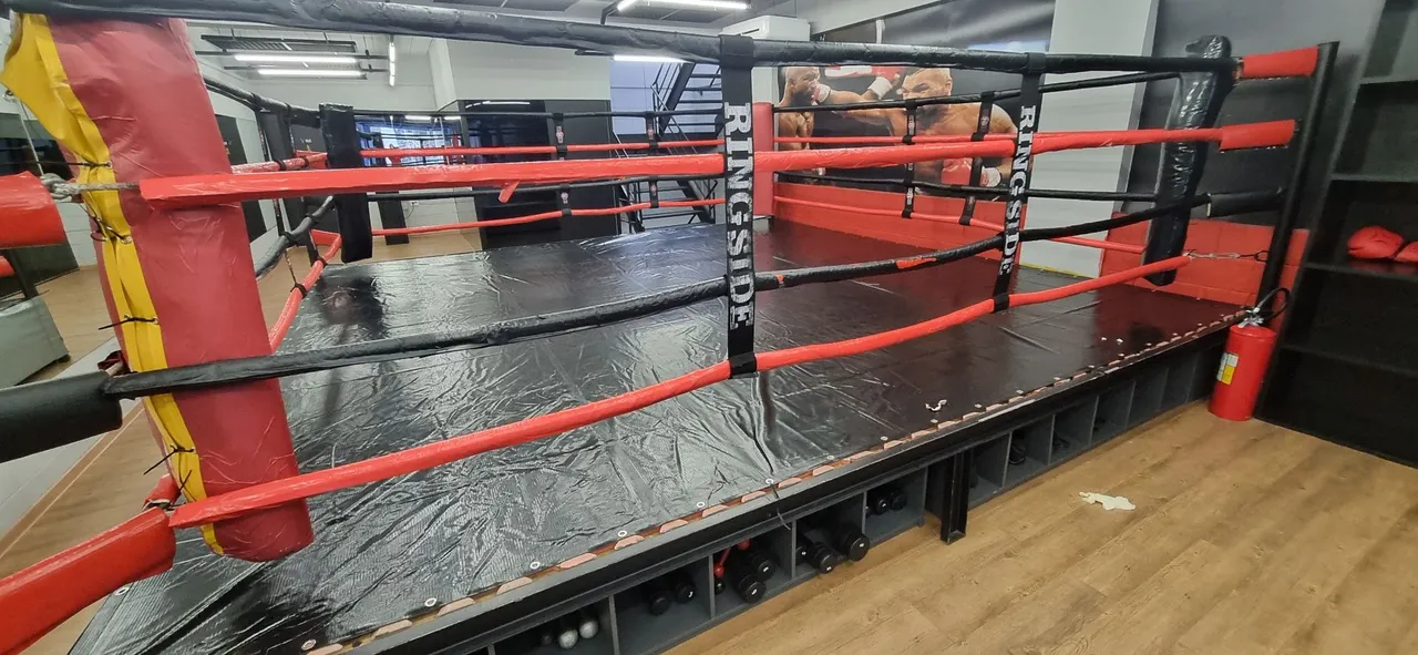 "ringue de boxe" no Brasil