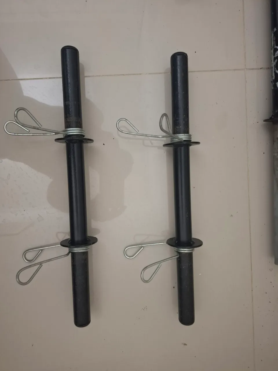 "alteres musculacao" - Academia e Exercícios no Brasil