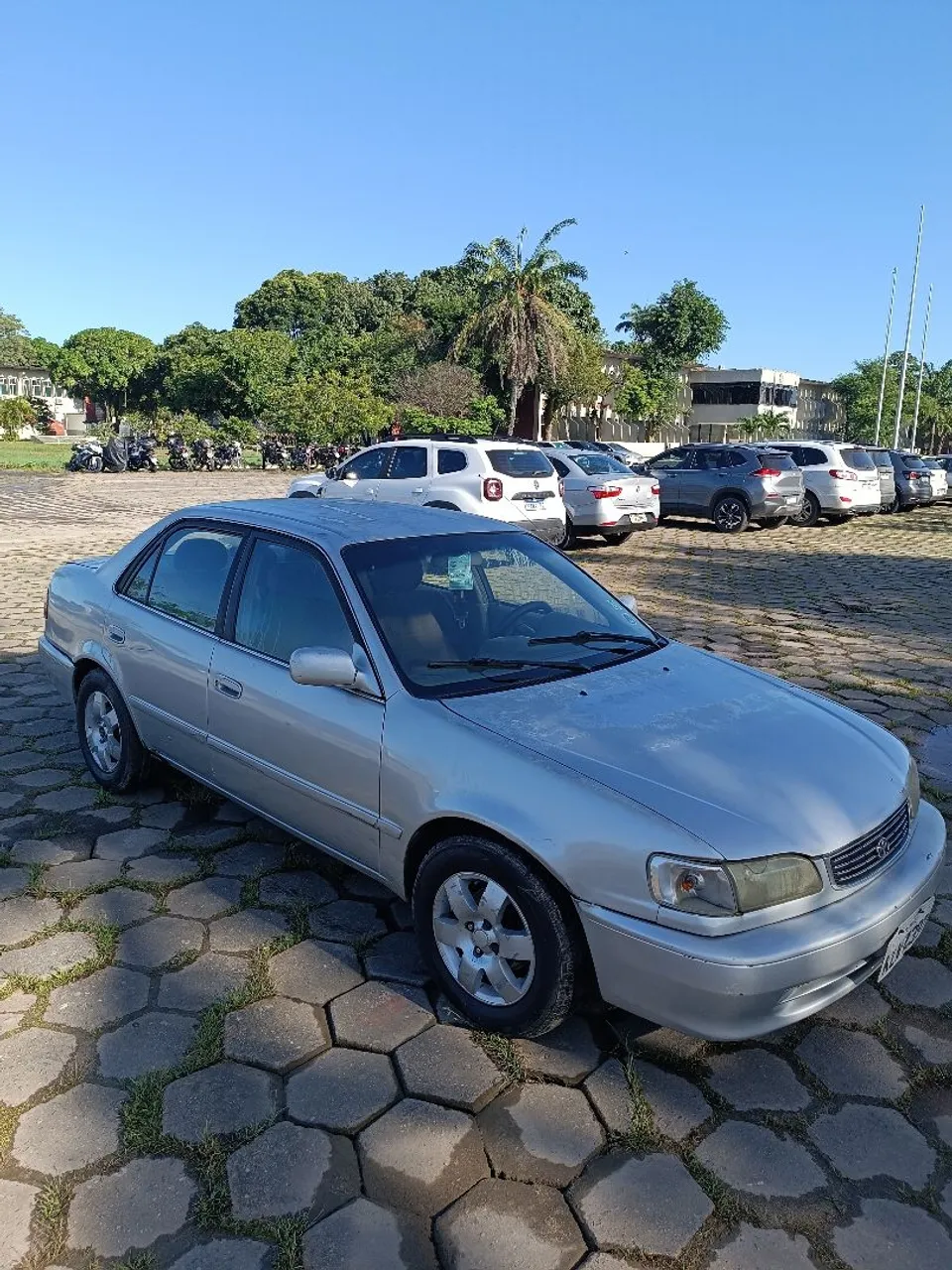 Toyota Corolla 1999 Usados e Novos