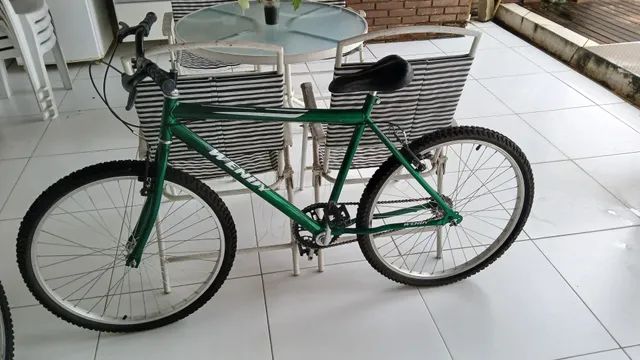"bicicleta verde" no Brasil