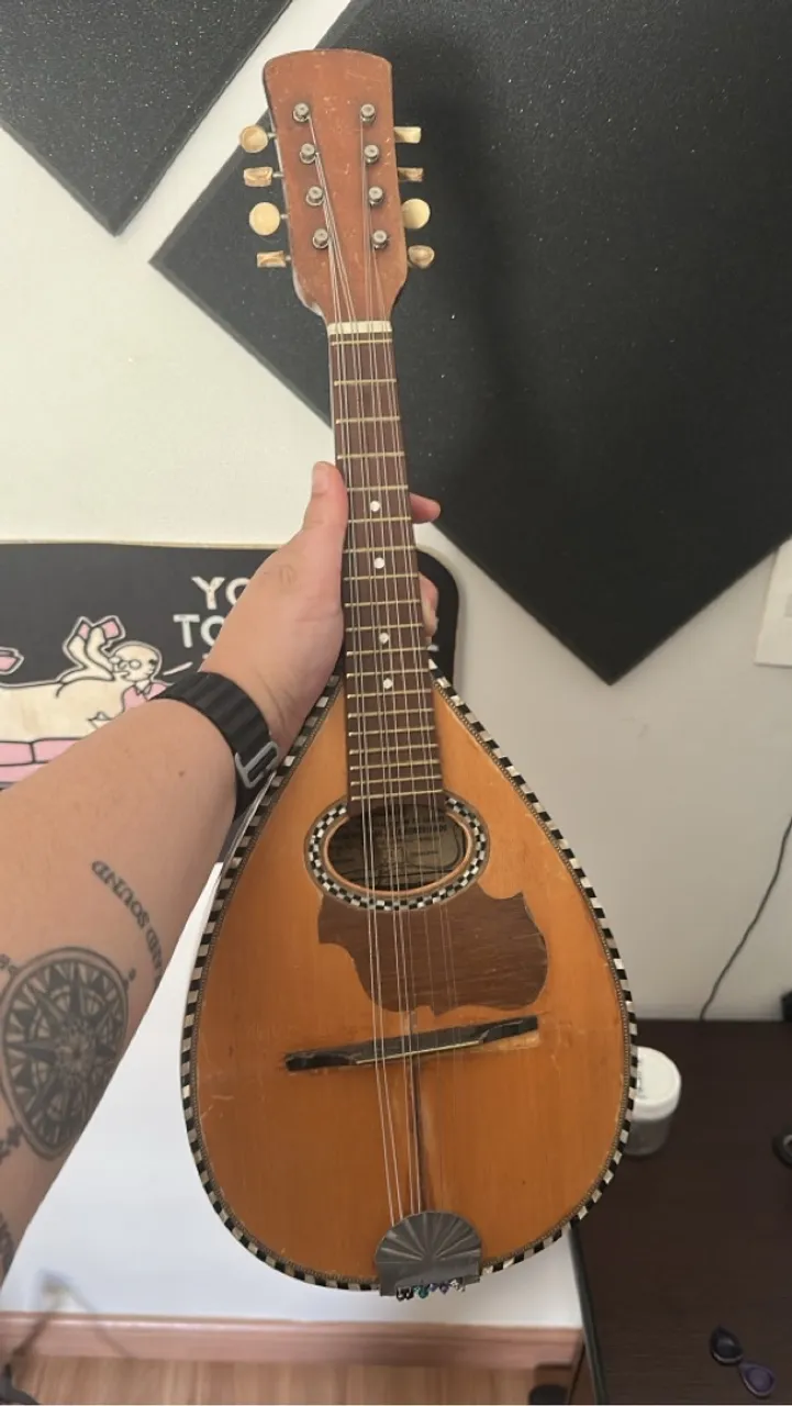 "bandolim" no Brasil