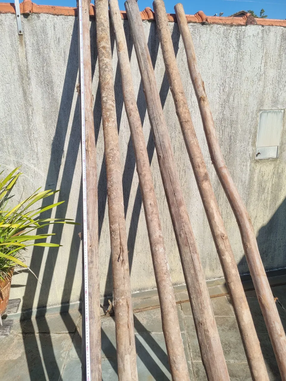 "pontaletes de eucalipto" no Brasil