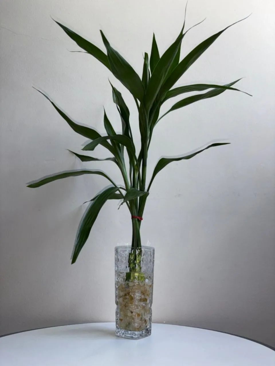 Bambu da Sorte natural na água com pedras de cristais para atrair ...