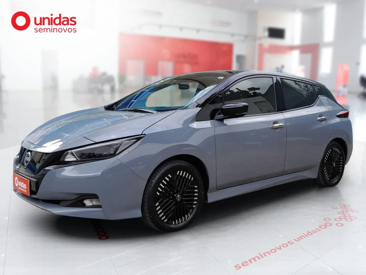 Nissan Leaf Usados e Novos
