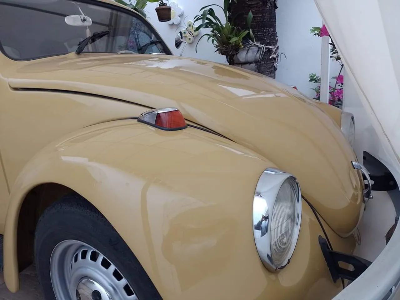 VOLKSWAGEN FUSCA 1973 Usados e Novos