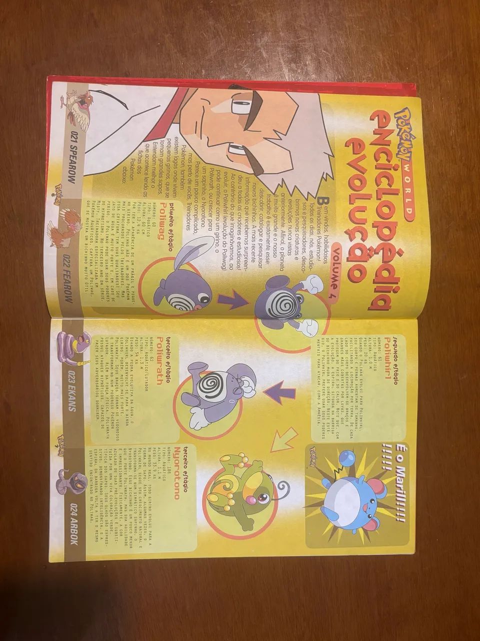 Revista Pokémon Clube Número 20 - Livros e revistas - Vila Isabel, Rio ...