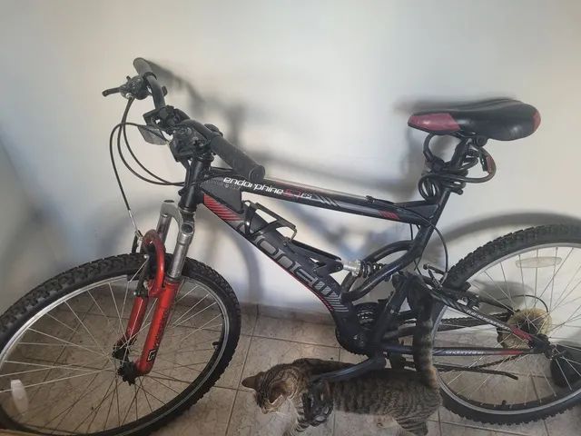 "bicicleta gonew endorphine" no Brasil