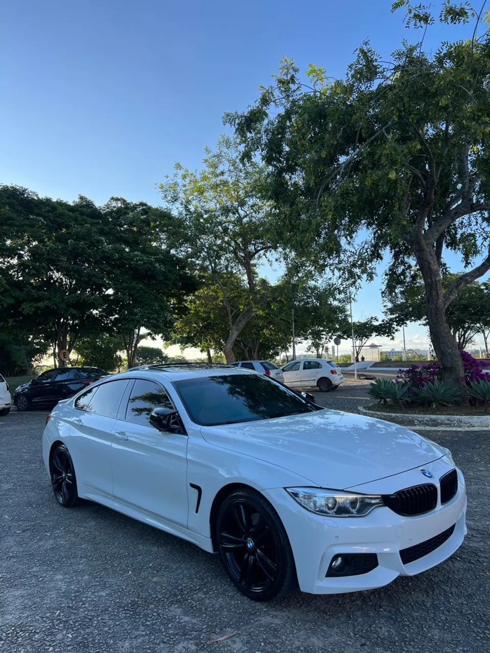 BMW 428I Usados e Novos