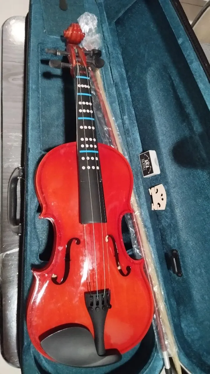 "violinos" no Brasil