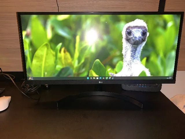 Monitor LG UltraWide 29wl500 29 polegadas full HD IPS - Monitores ...