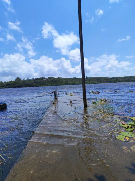 fazenda com 250 hectares bem estruturada e com uma localização perfeita ...