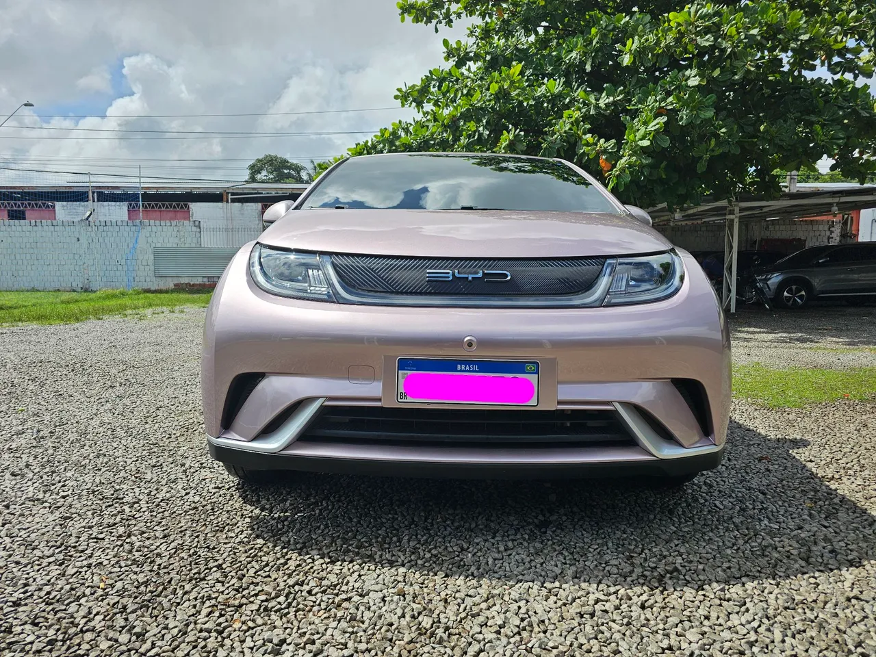 BYD DOLPHIN Usados e Novos