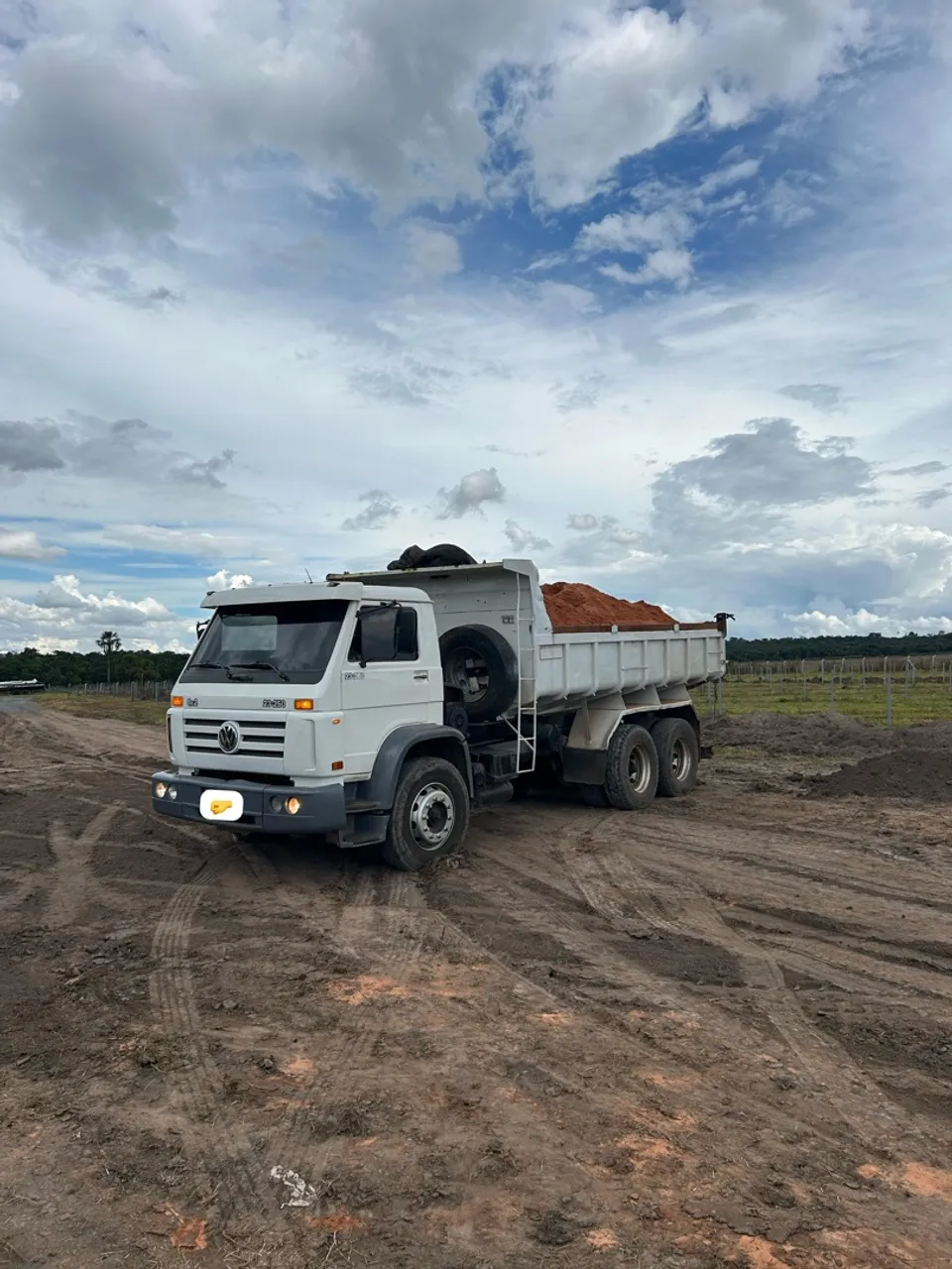 "caminhao wv 24250" - Caminhões no Brasil