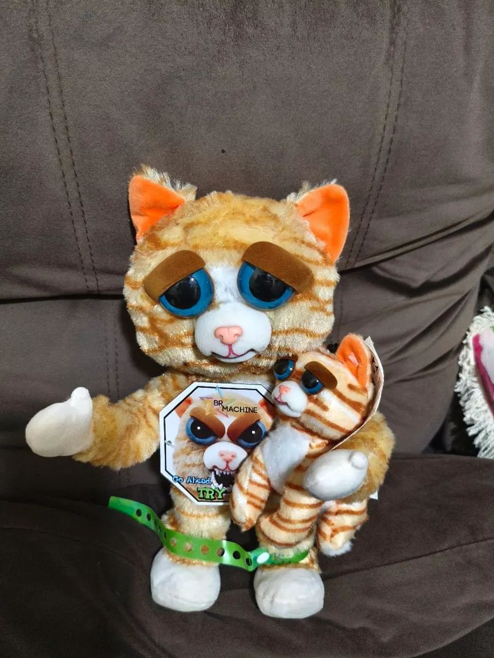 Feisty gata articulada com ou sem filhote - Gatos - Bangu, Rio de ...