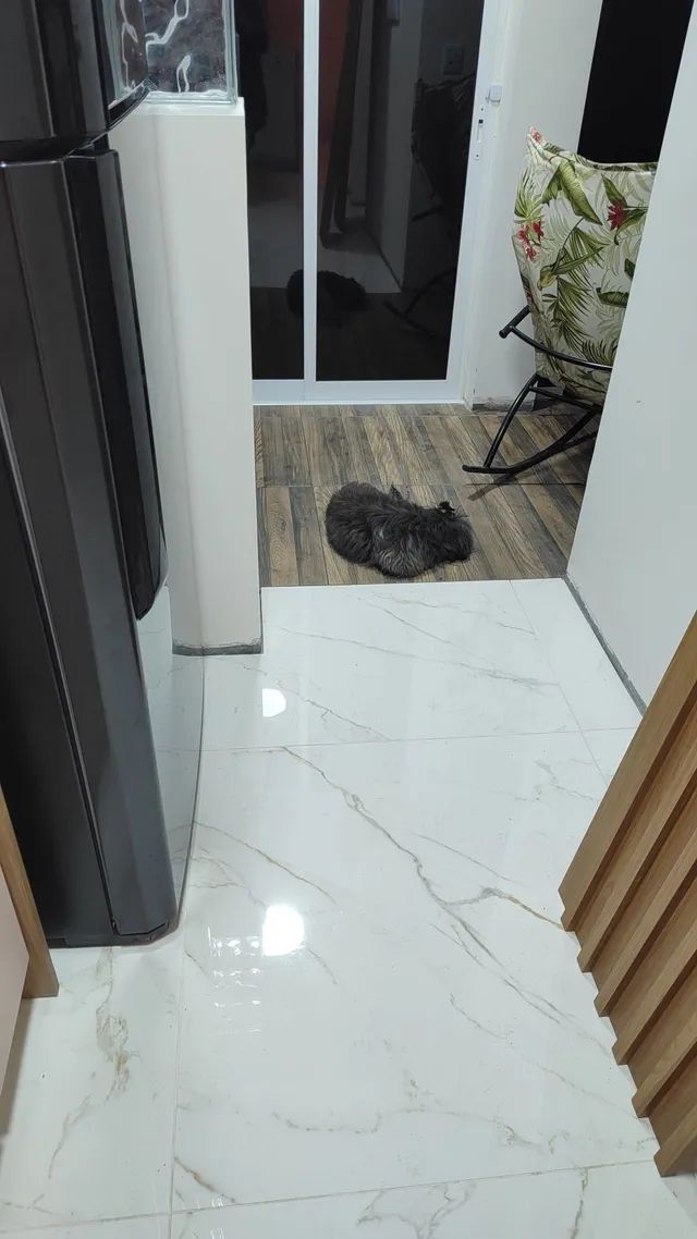 "revestimento porcelanato" no Brasil