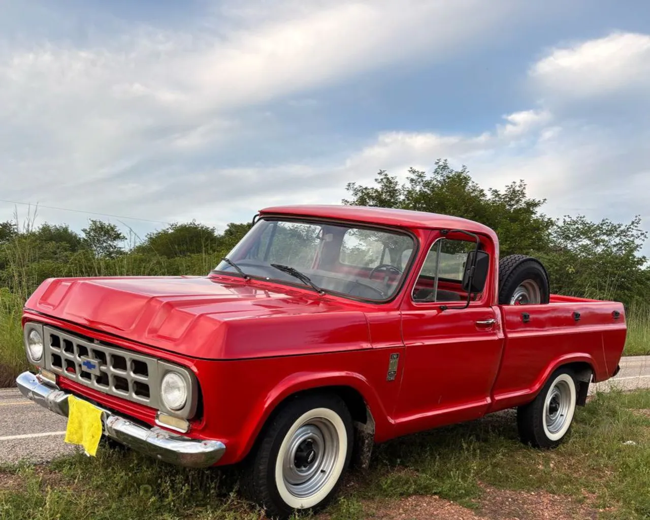 CHEVROLET D-10 Usados e Novos