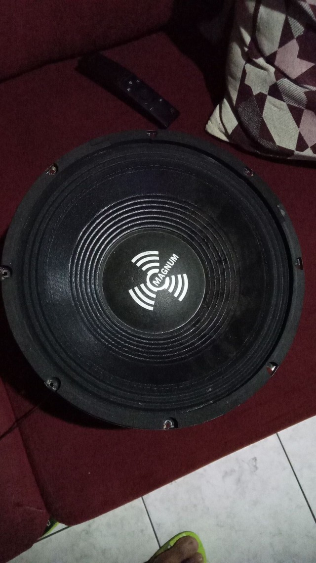 Medio grave de 12 polegadas | +328 anúncios na OLX Brasil