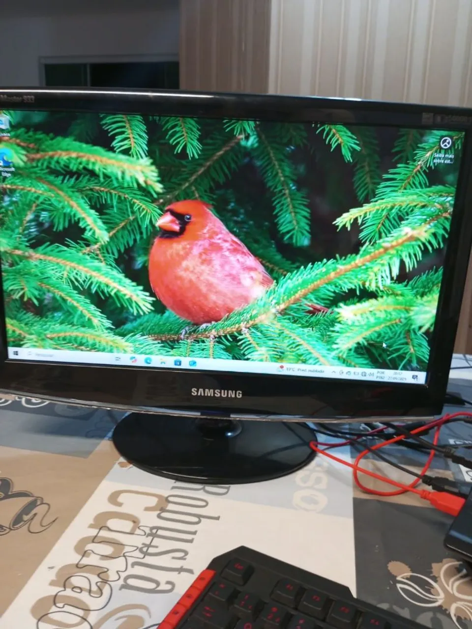 "monitor samsung 18 polegadas" - Monitores no Brasil