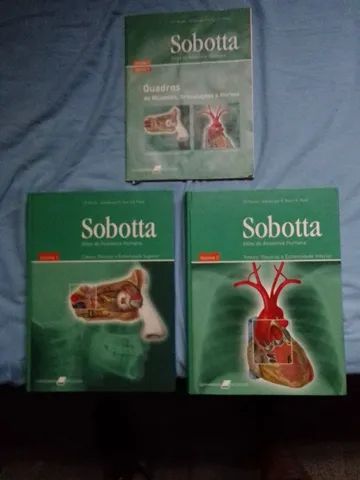 Sobotta atlas de anatomia humana | +65 anúncios na OLX Brasil