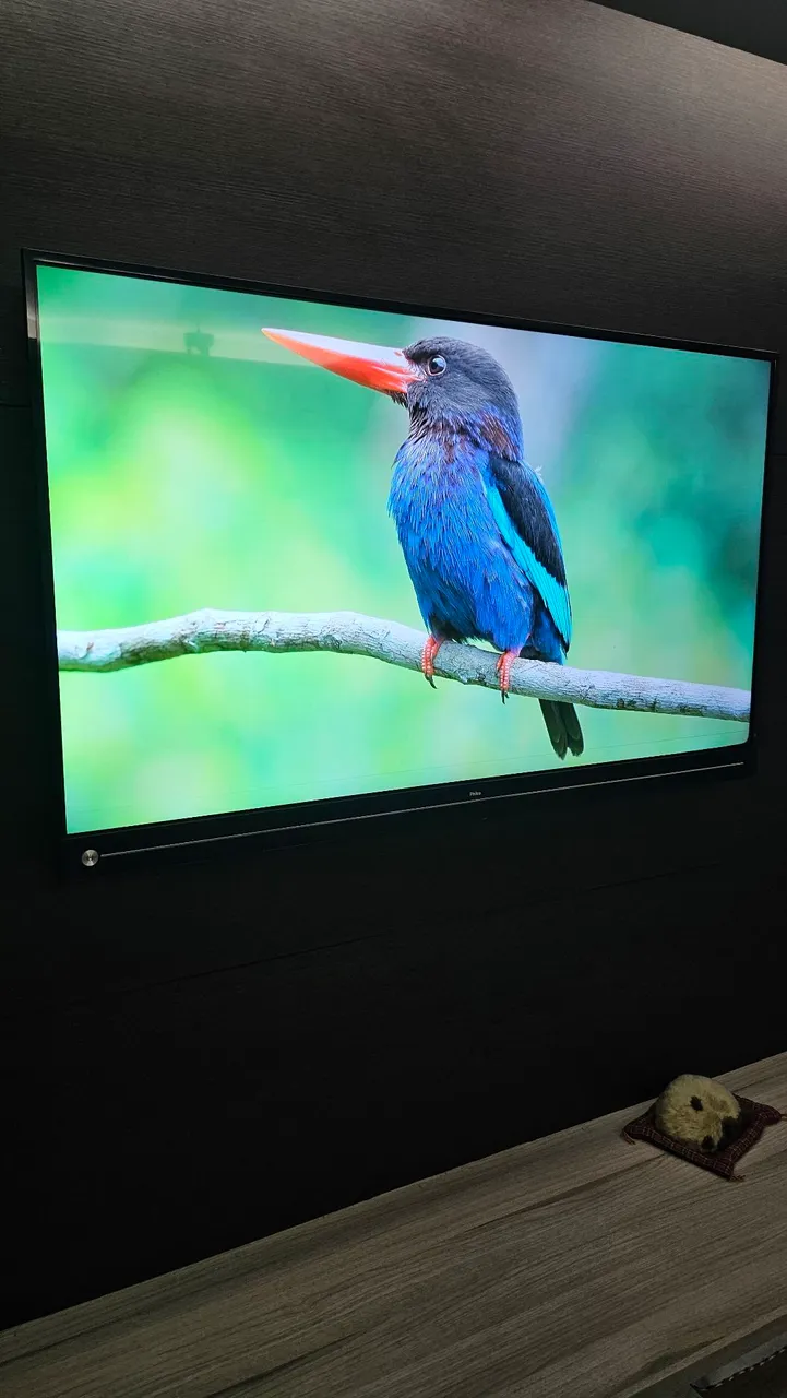 TVs em Belo Horizonte e região, MG