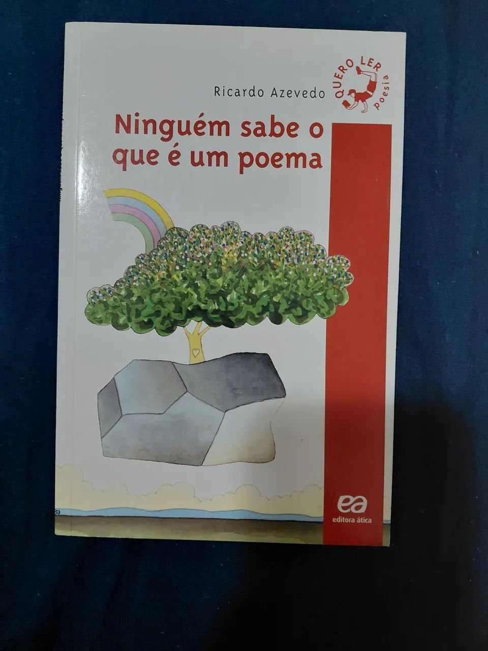 Livro ninguem sabe o que e um poema de Ricardo Azevedo (2 unidades ...