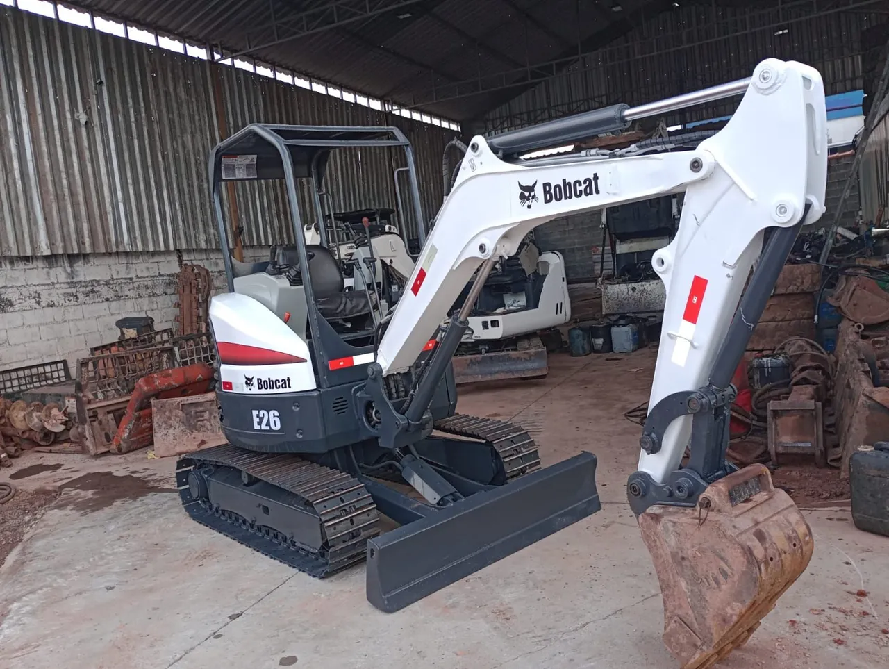 "mini bobcat" no Brasil