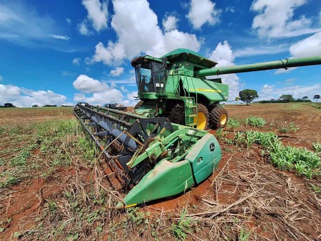 "colheita" no Brasil