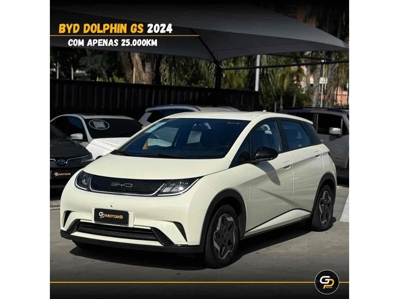 BYD DOLPHIN Usados e Novos
