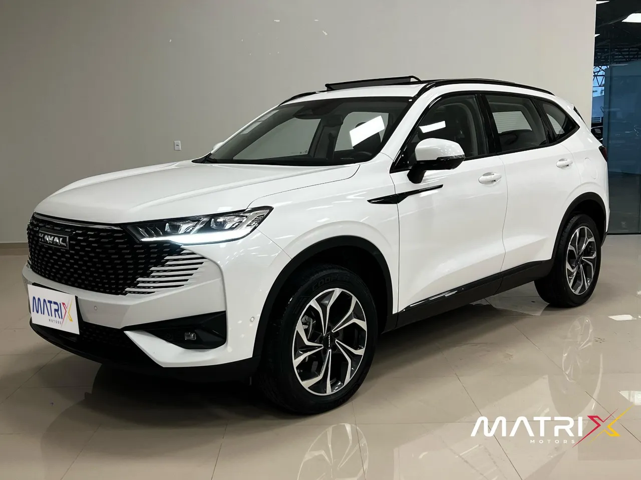 GWM HAVAL H6 PHEV AWD (HIBRIDO) Usados e Novos