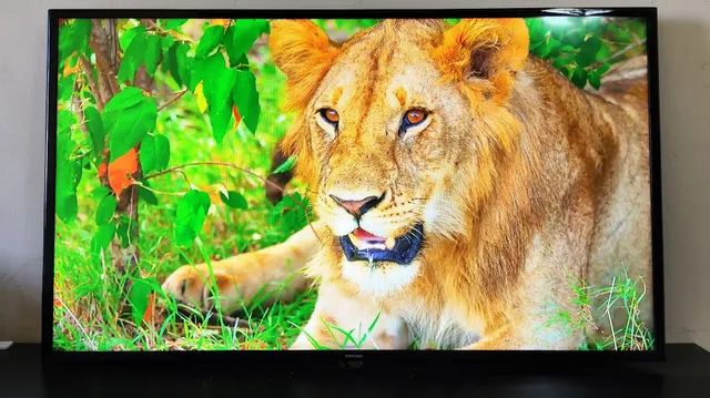 "tv 48 polegadas" no Brasil