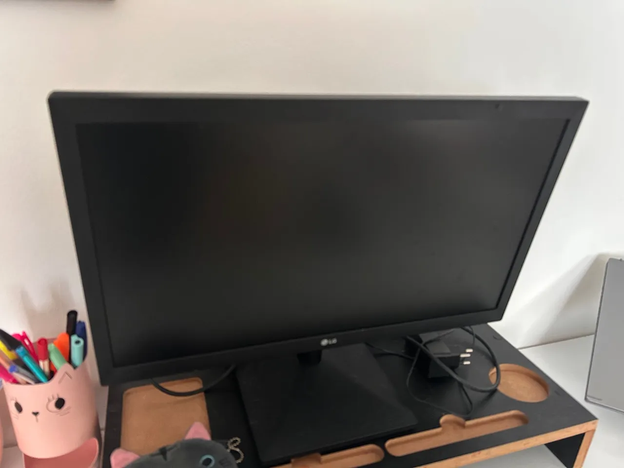 "monitor lg 20 polegadas" no Brasil