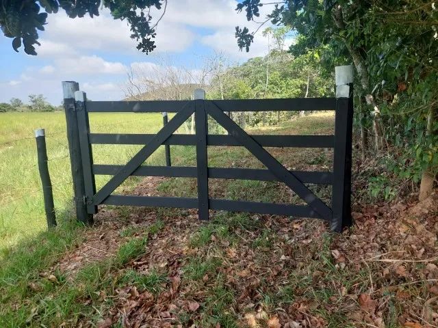 "sentinela" no Brasil