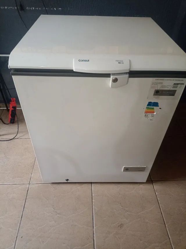 "freezer 220l" no Brasil