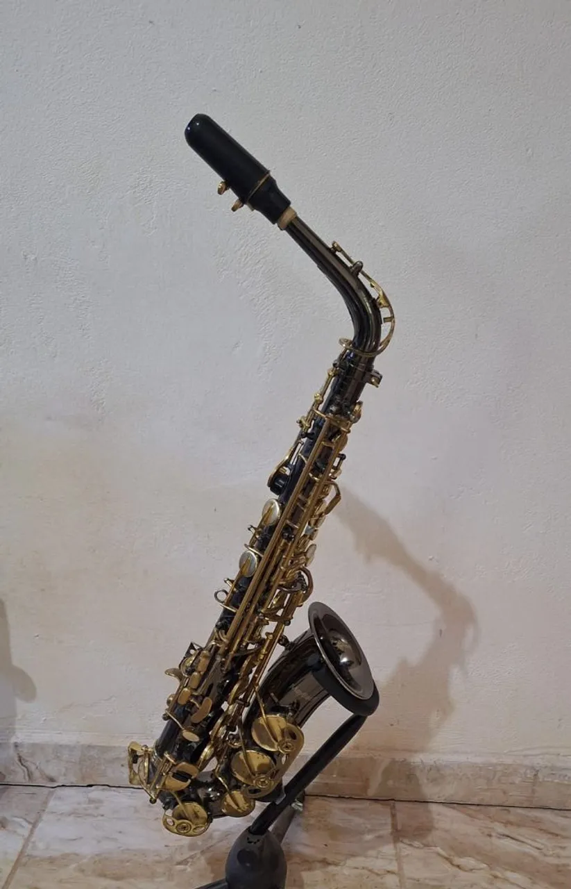 "saxofone alto" - Instrumentos musicais no Brasil