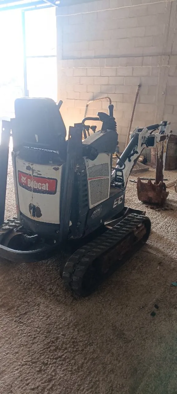 "mini bobcat" no Brasil