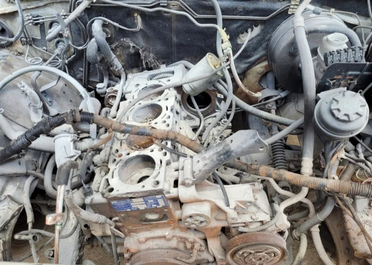 "motor mwm sprint" no Brasil