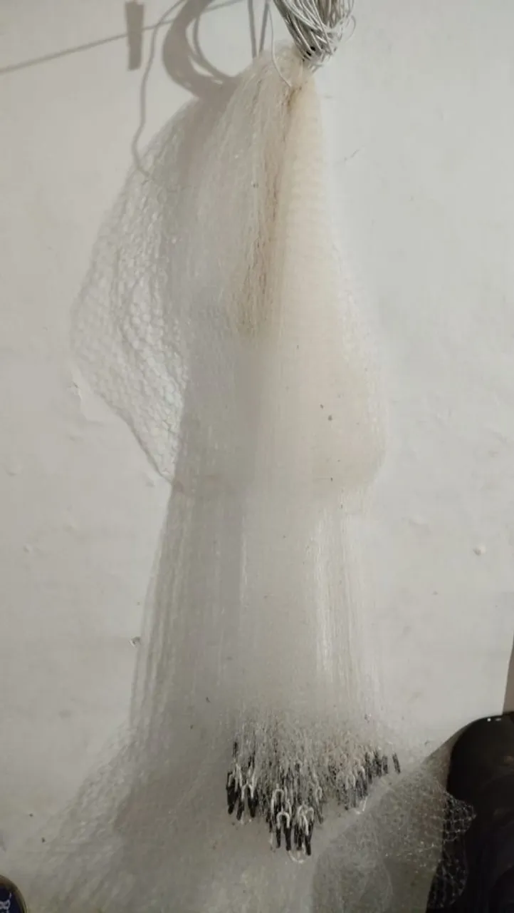 "rede de pesca" no Brasil